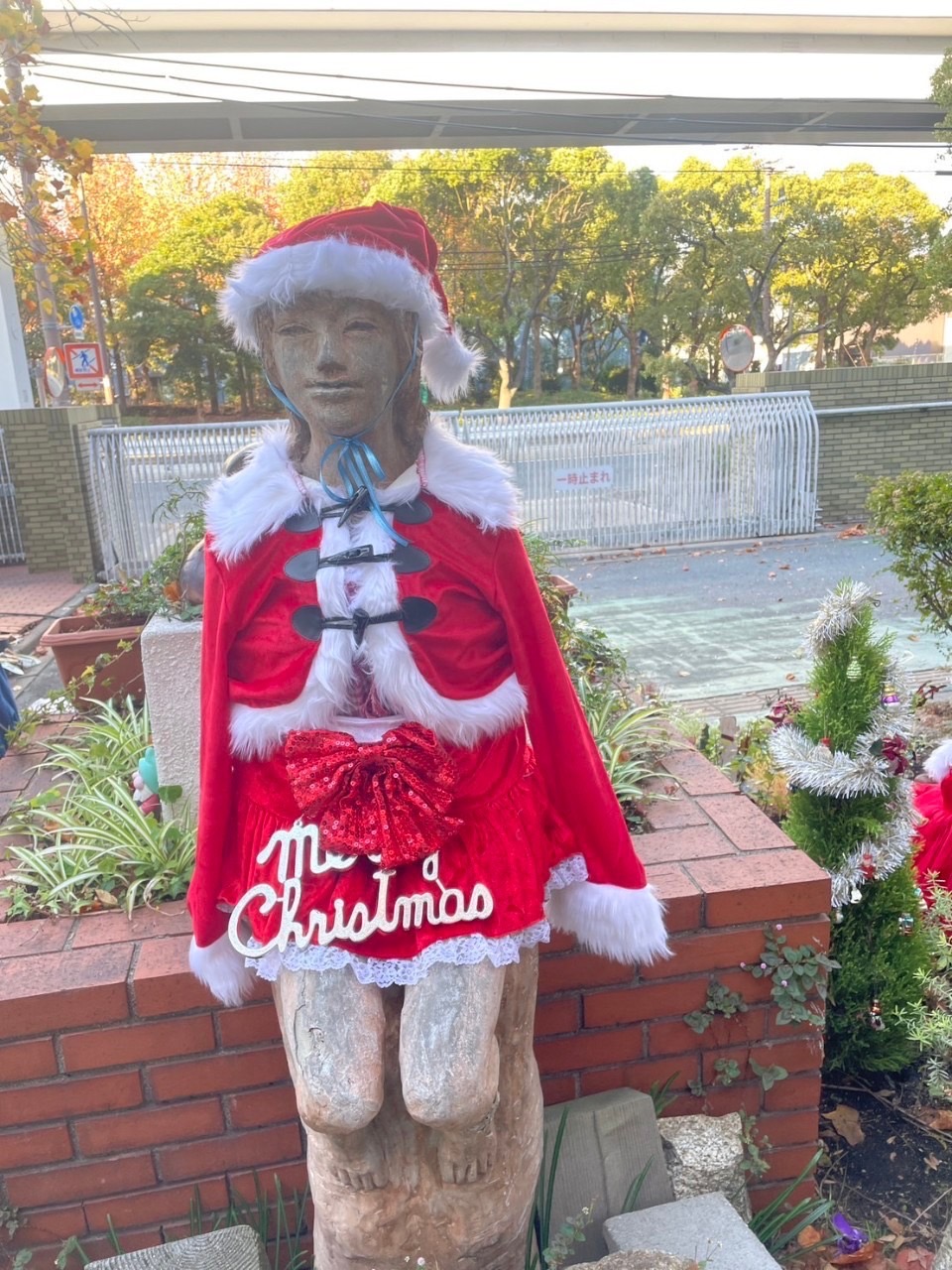 11月花壇整備活動 – 大阪府立港南造形高等学校PTA